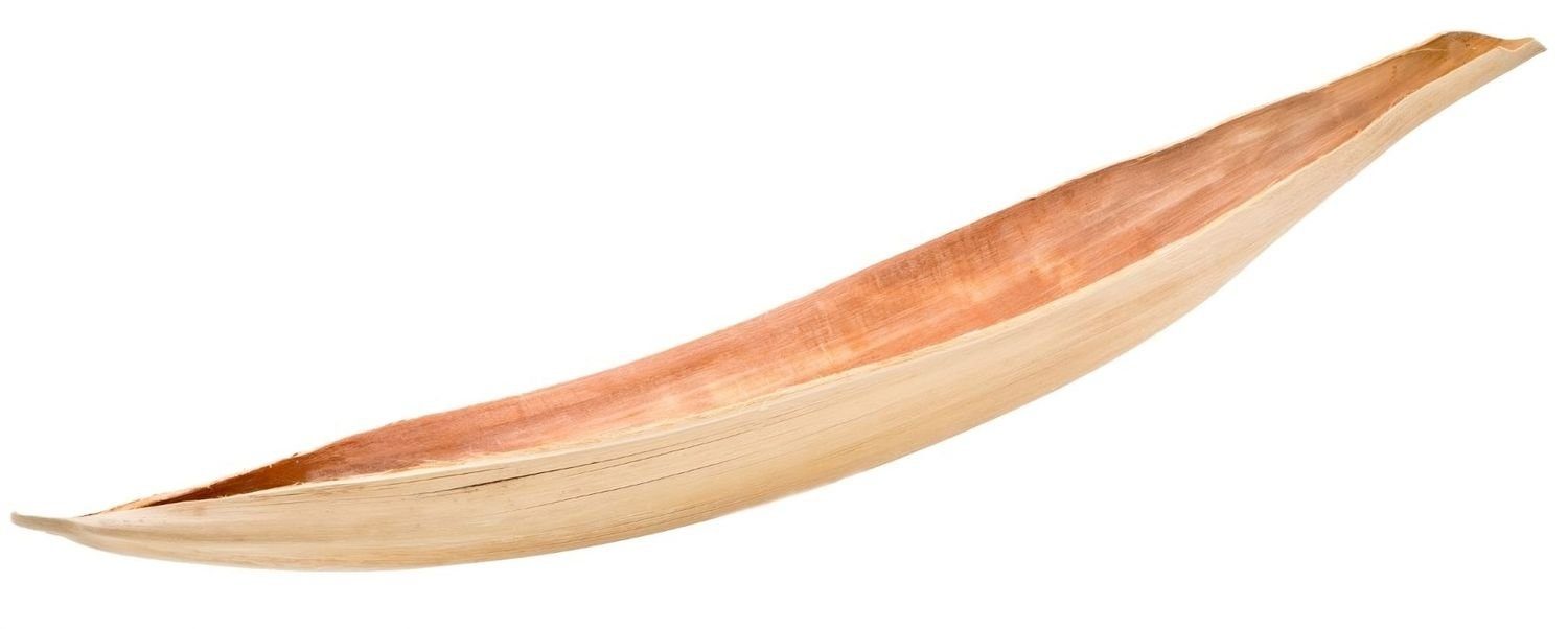 Nadeco Bastelnaturmaterial Kokos Boot Natur 60 80 Cm Kokosblatt