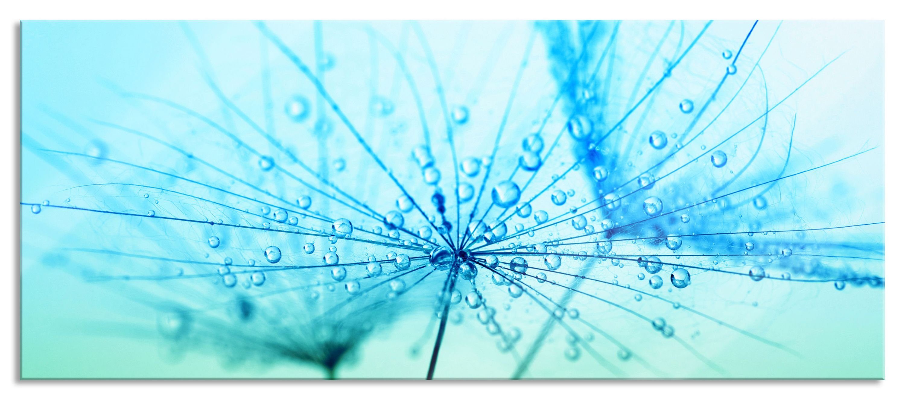 Pixxprint Glasbild Pusteblume Bedeckt Mit Tropfen Pusteblume Bedeckt