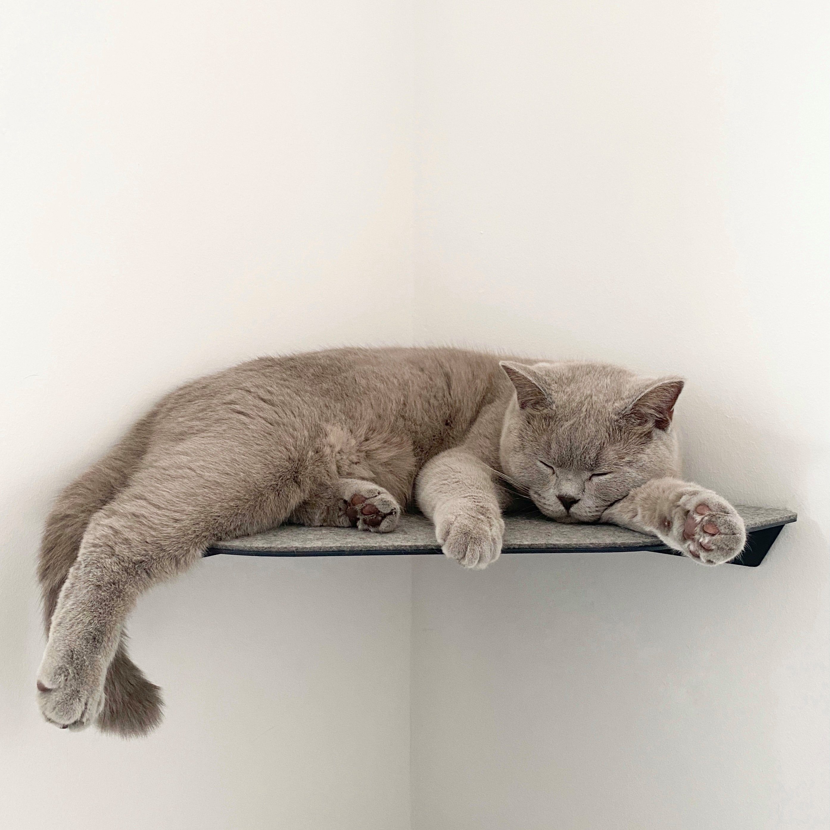 LucyBalu Katzenliege CORNER Katzenliege, mit Wollfilzauflage, für die Ecke