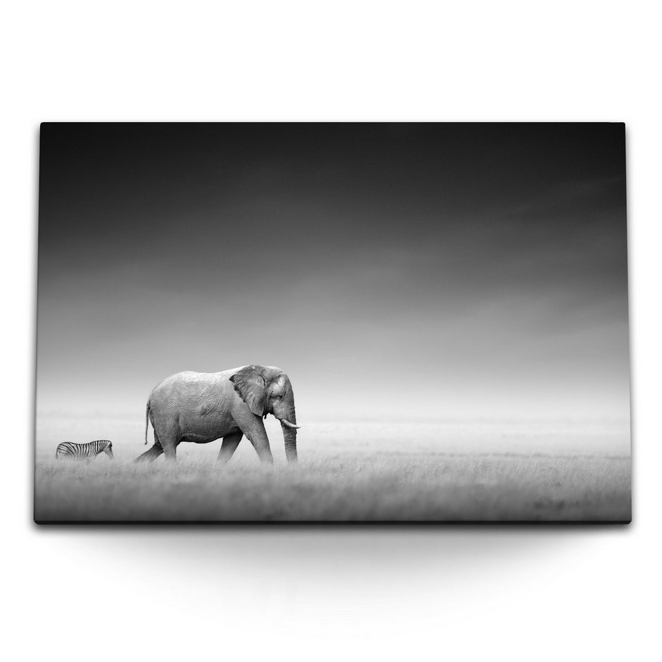 Sinus Art Leinwandbild 120x80cm Wandbild Auf Leinwand Elefant Mit Zebra