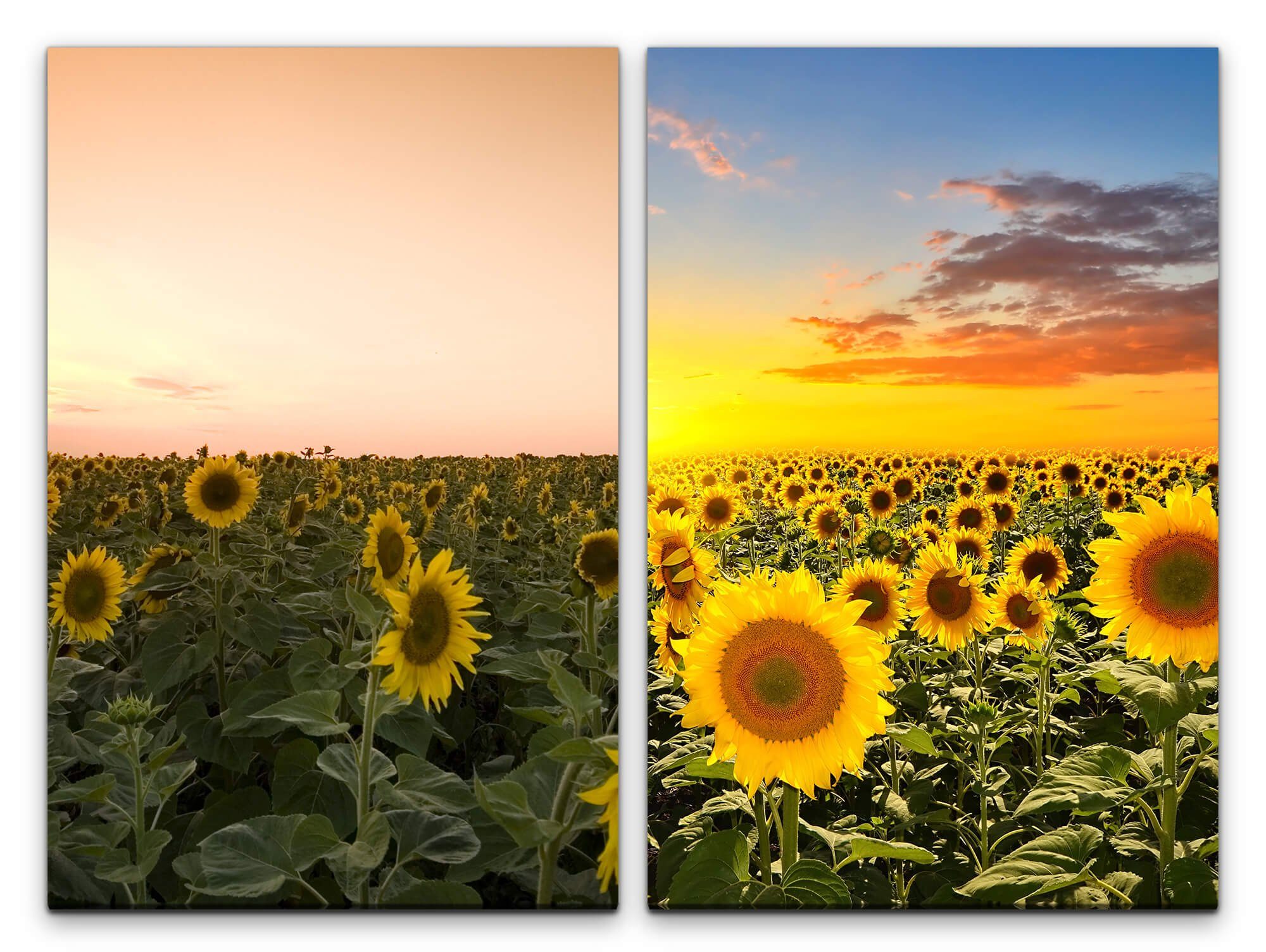 Sinus Art Leinwandbild 2 Bilder Je 60x90cm Sonnenblumen
